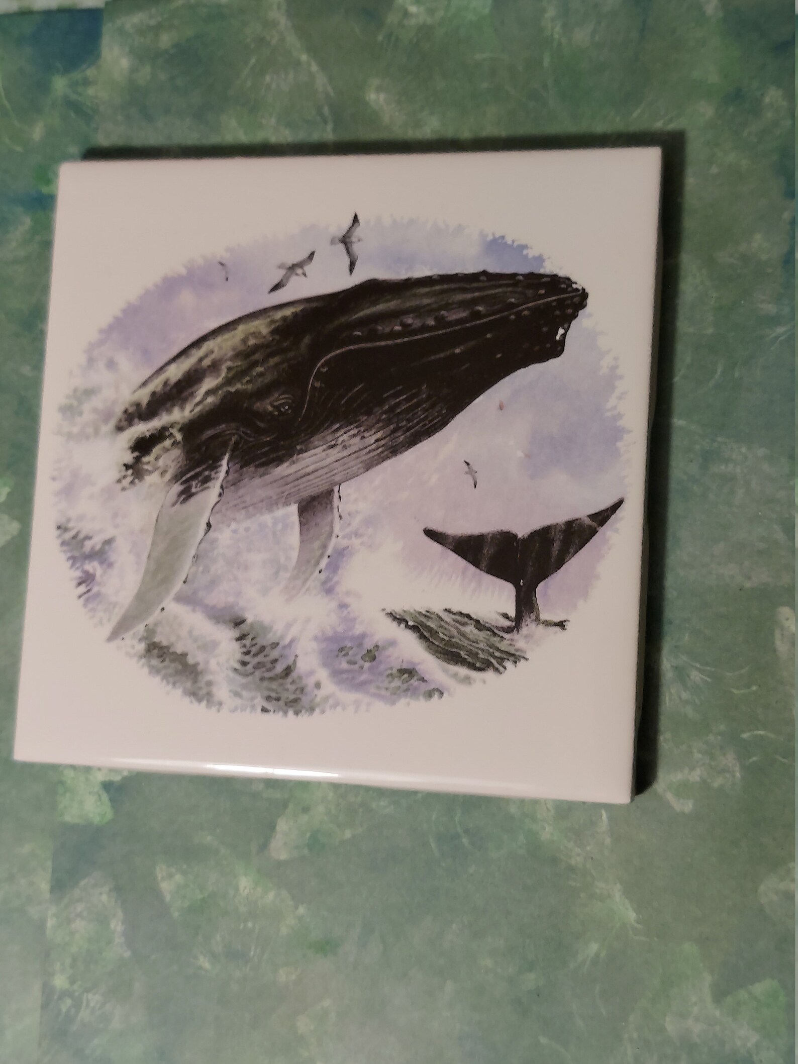 Whale Trivet, Backsplash Tile Mural, Mosaic Tiles, 1 Piece, Ceramic 4x4 ...