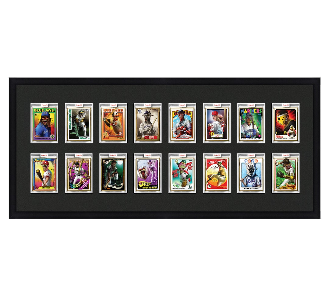 Project 2020 Card Frame Display Sixteen Openings for a Project 70 ...