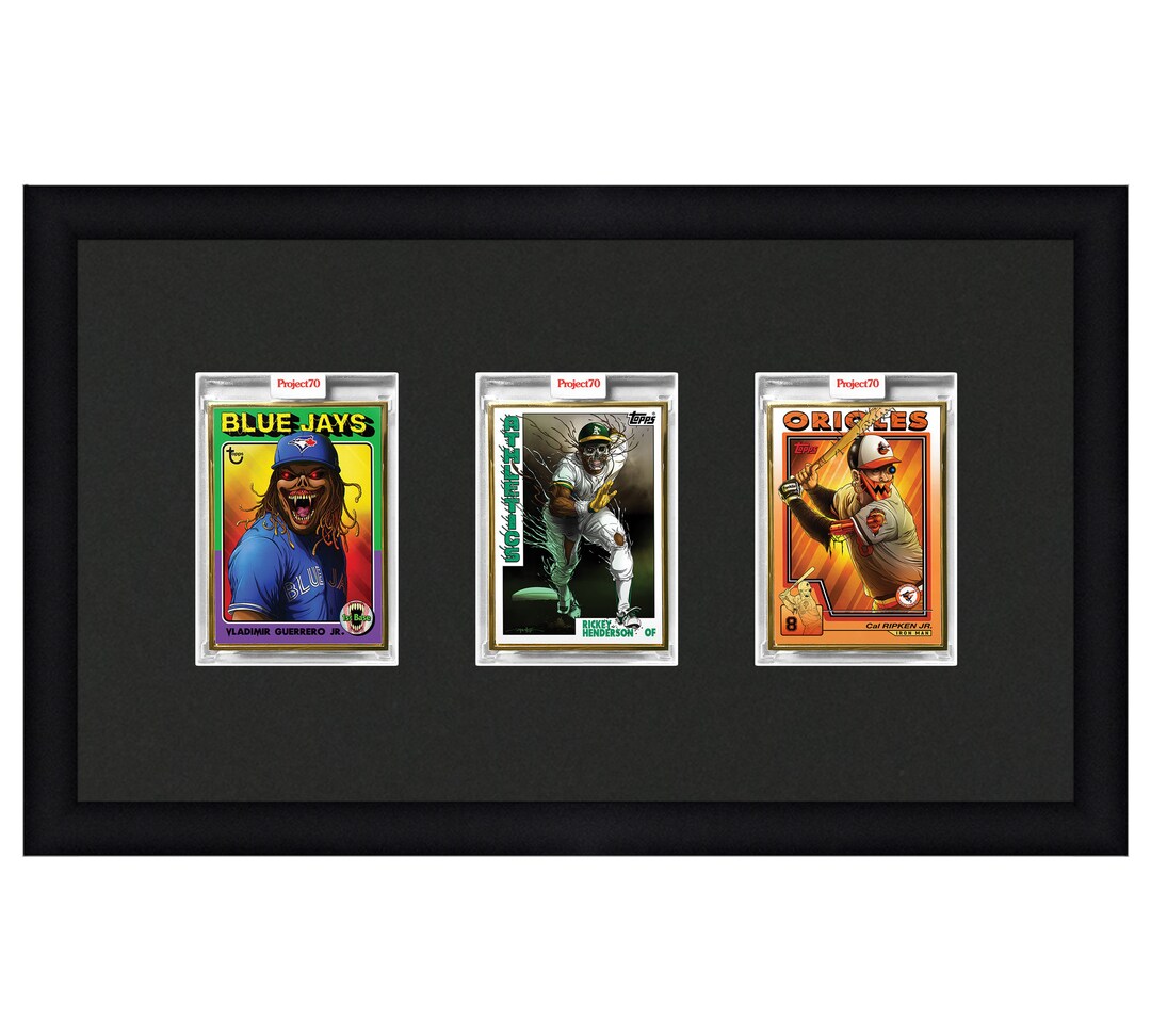 Project 2020 Card Frame Display Three Opening Fitted for a Project 70 ...