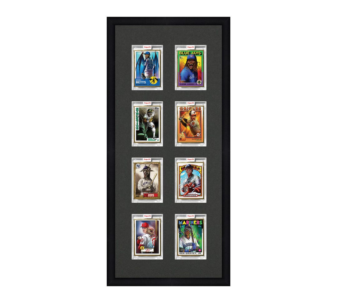 Project 2020 Card Frame Display Eight Openings Fitted for a Project 70 ...