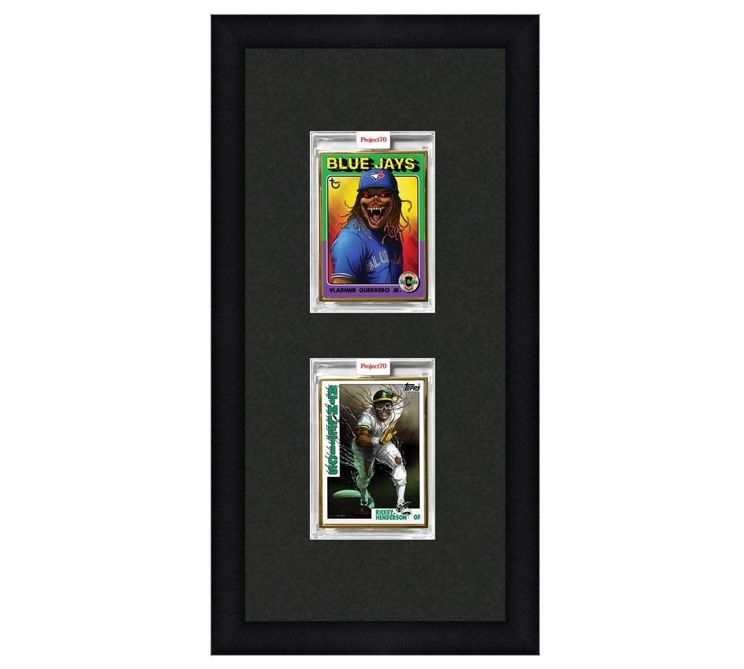 Project 2020 Card Frame Display Two Openings Fitted for a Project 70 ...