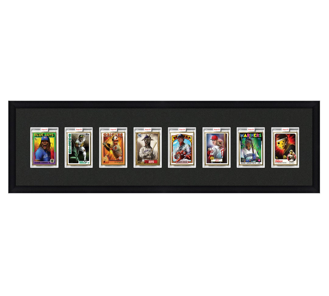 Project 2020 Card Frame Display Eight Openings Fitted for a Project 70 ...