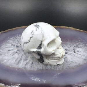 Natural Howlite Skull Realistic Gemstone Skull Carving Skull Crystal ...