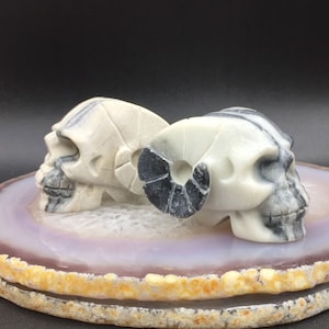 Tai Chi /yin Yang Jasper Skull With Horns Black&white Banded Jasper ...