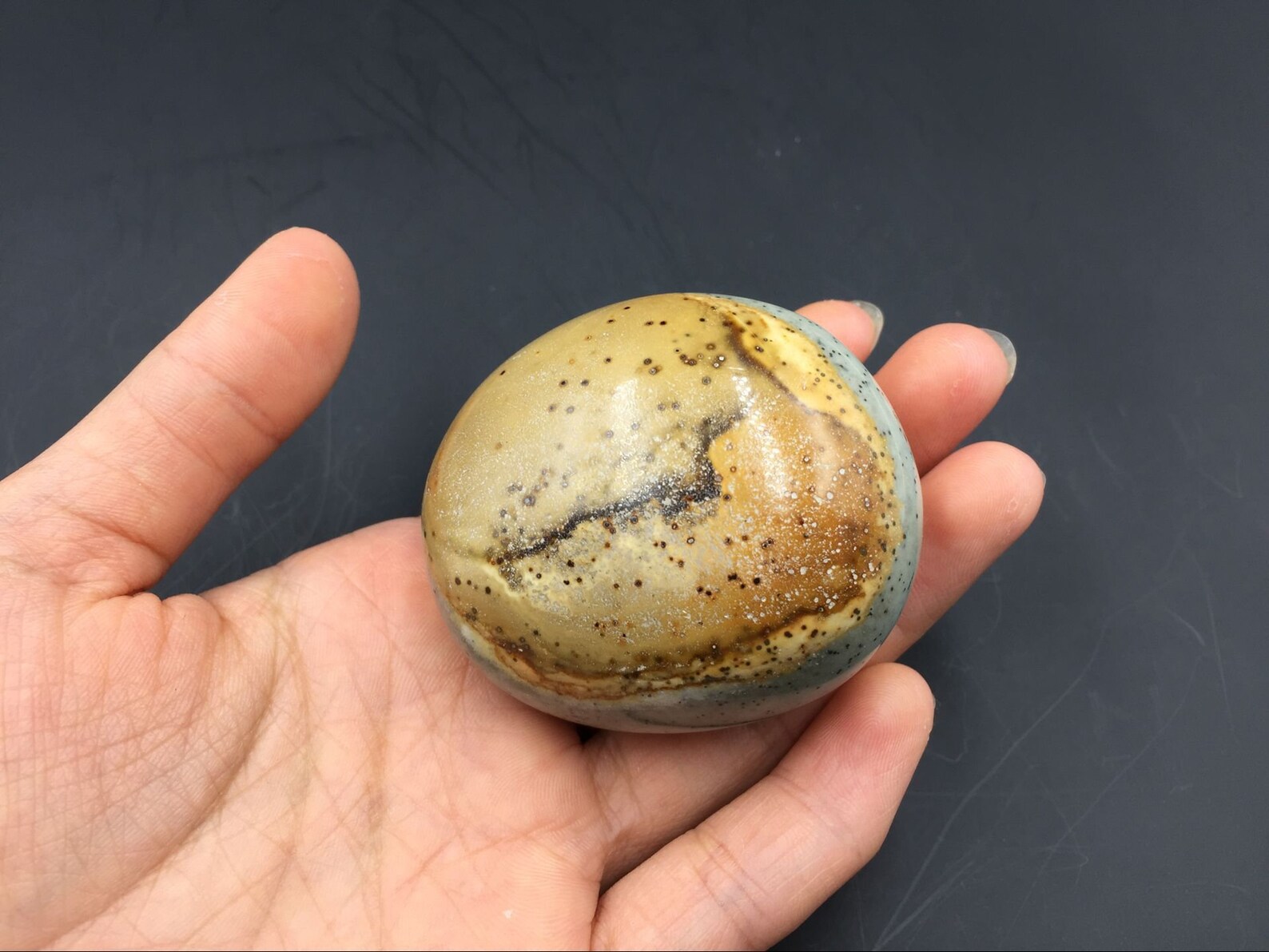 2.2" Polished Ocean Jasper Stone Specimen Tumbled Stone Palm Stone ...