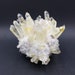 1.25lbs Large Yellow Quartz Cluster With Orange Phantom Quartz Point ...