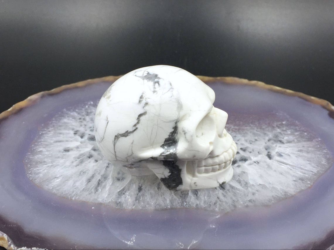 Natural Howlite Skull Realistic Gemstone Skull Carving Skull Crystal ...