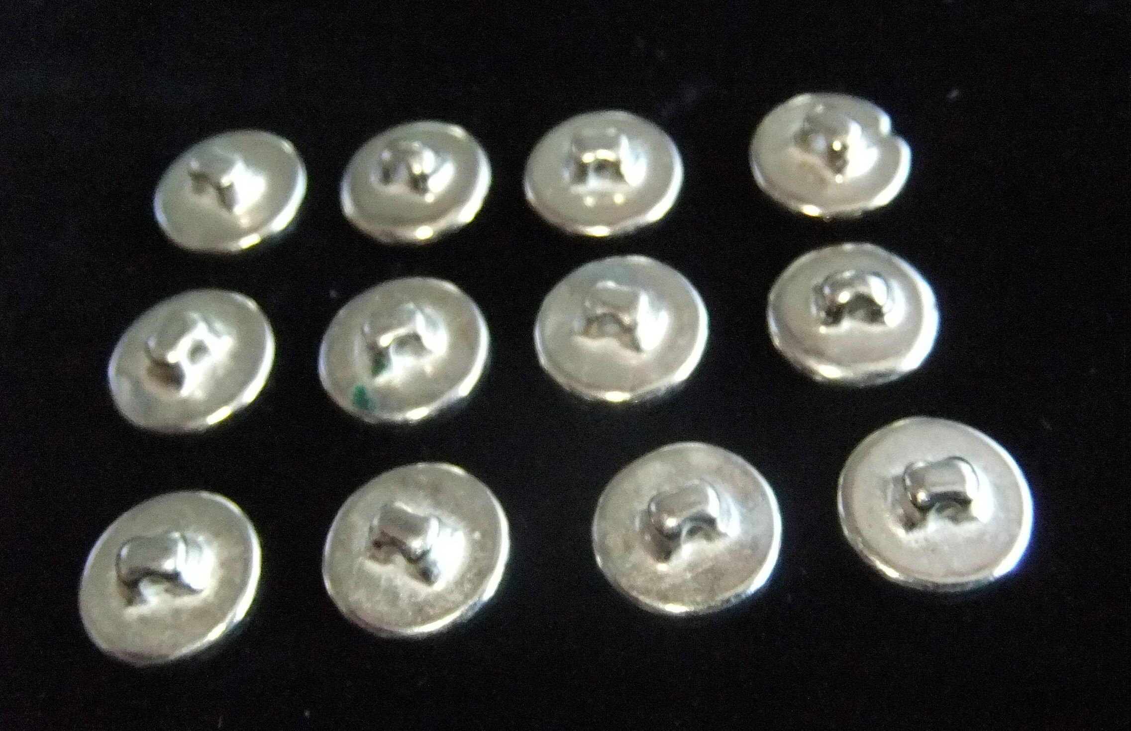 Set of 12 Ivory Buttons With Silver Edging and Backs - Etsy