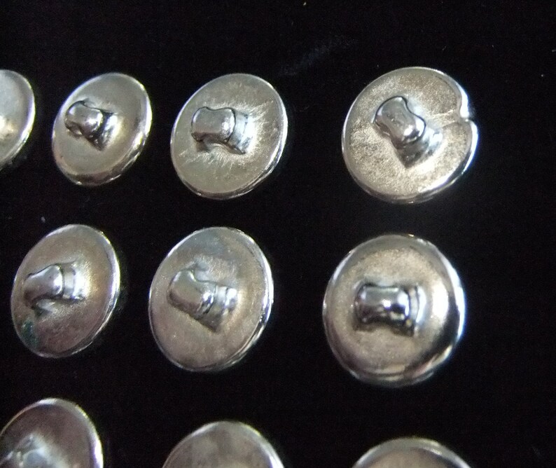 Set of 12 Ivory Buttons With Silver Edging and Backs - Etsy