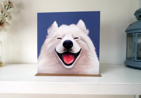 Samoyed Smile