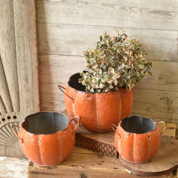 Large Pumpkin - Etsy