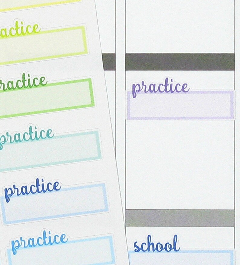 44 Practice Planner Stickers for Erin Condren Life Planner, Plum Paper ...