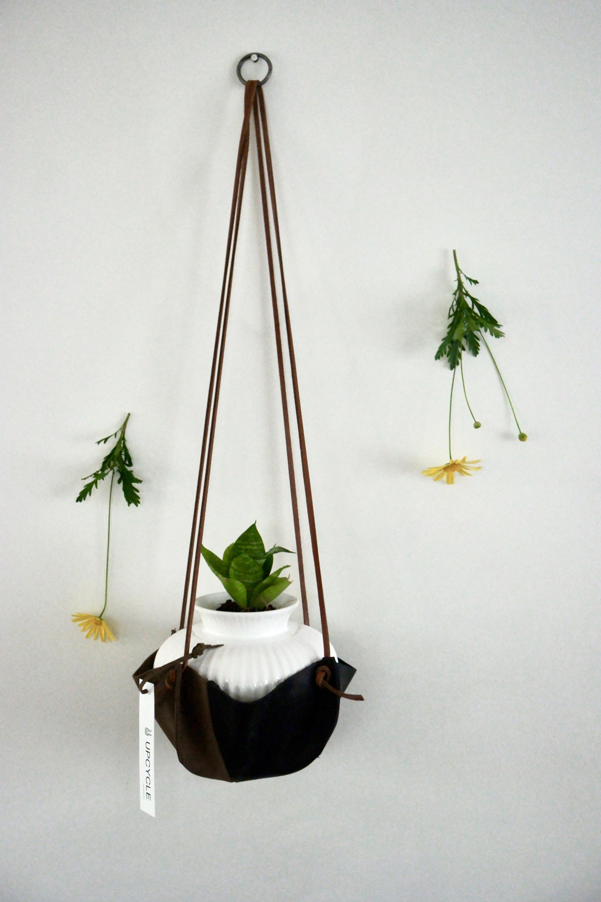 Planthanger , Leather, Stylish, Design, Hanging Around, Diagonal Sides ...
