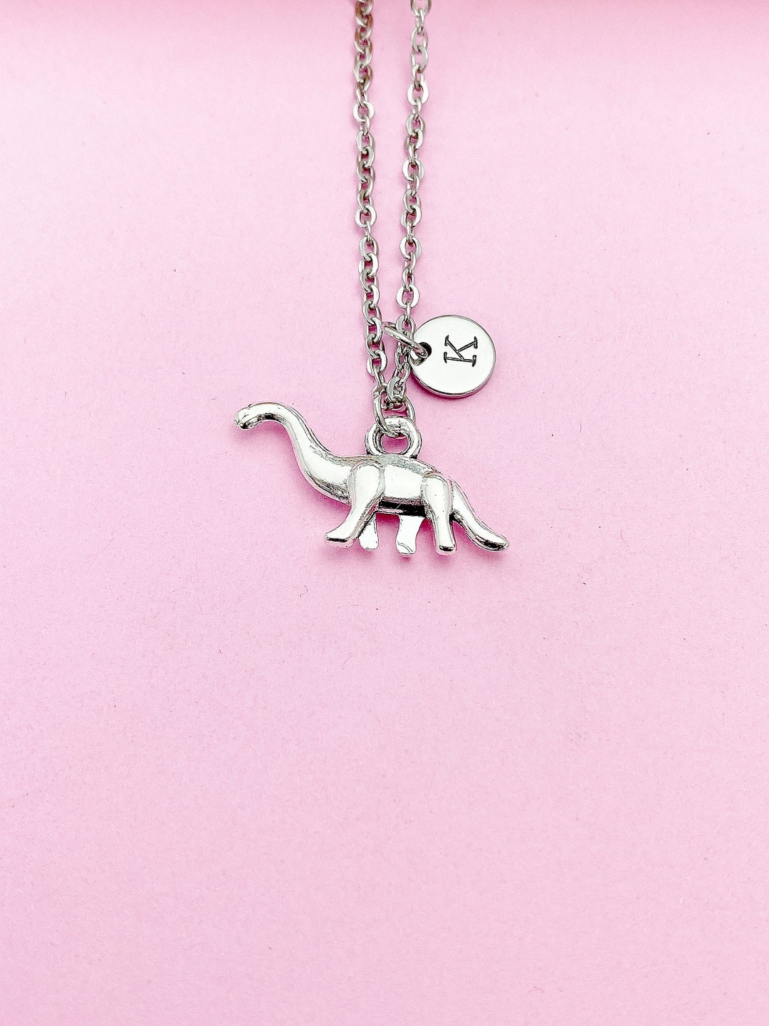 Silver Dinosaur Necklace Paleontologist Taphonomy Taphonomists ...
