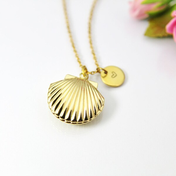 Scallop Shell - Etsy