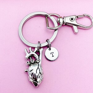 Silver Anatomy Heart Keychain, Lucky Charm, Doctor Nurse Gift ...