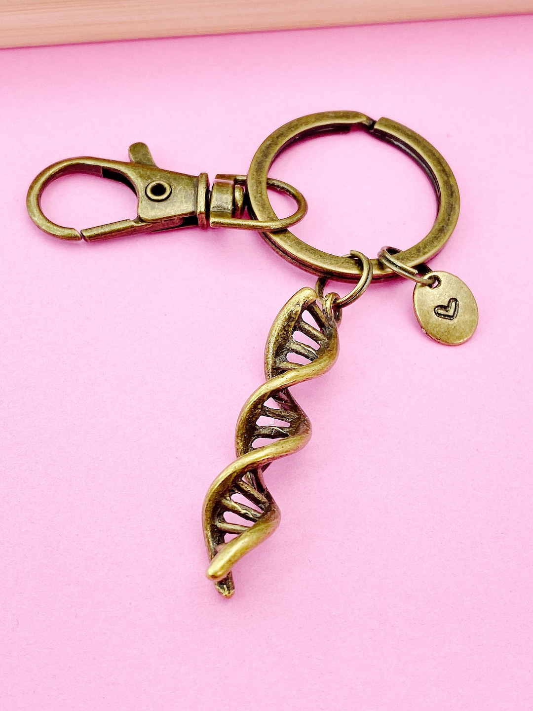Silver or Bronze DNA Charm Keychain, Biology Genetics School Gifts ...