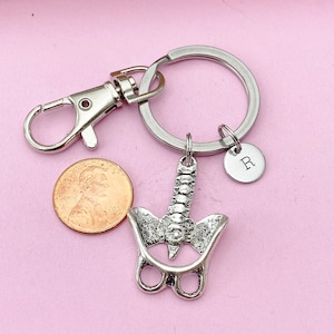 Silver Anatomy Pelvis Bone Charm Keychain, Doctor Nurse Medical School ...