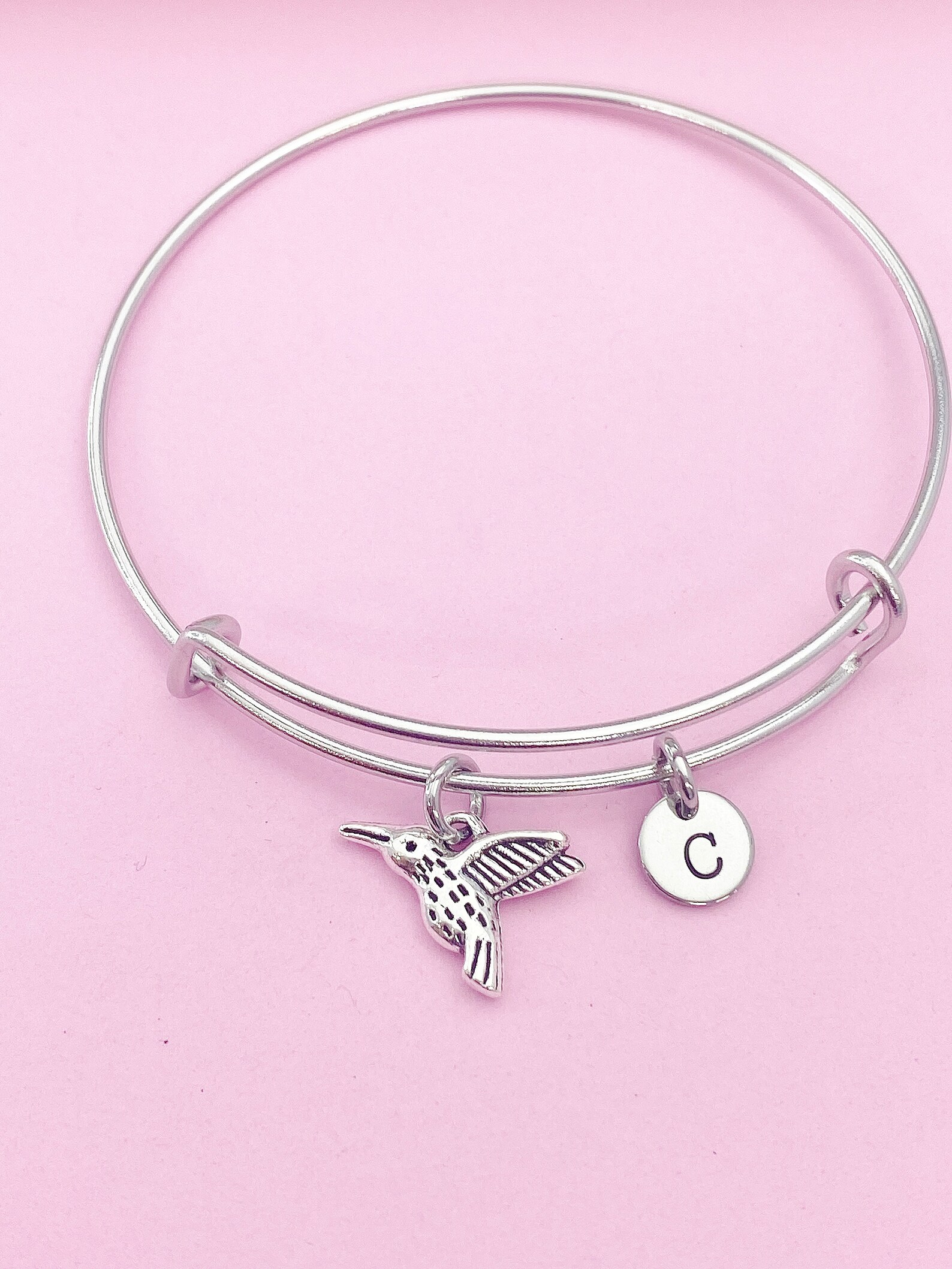 Silver Hummingbird Charm Bracelet Bird Watcher Ornithologists Zoology ...