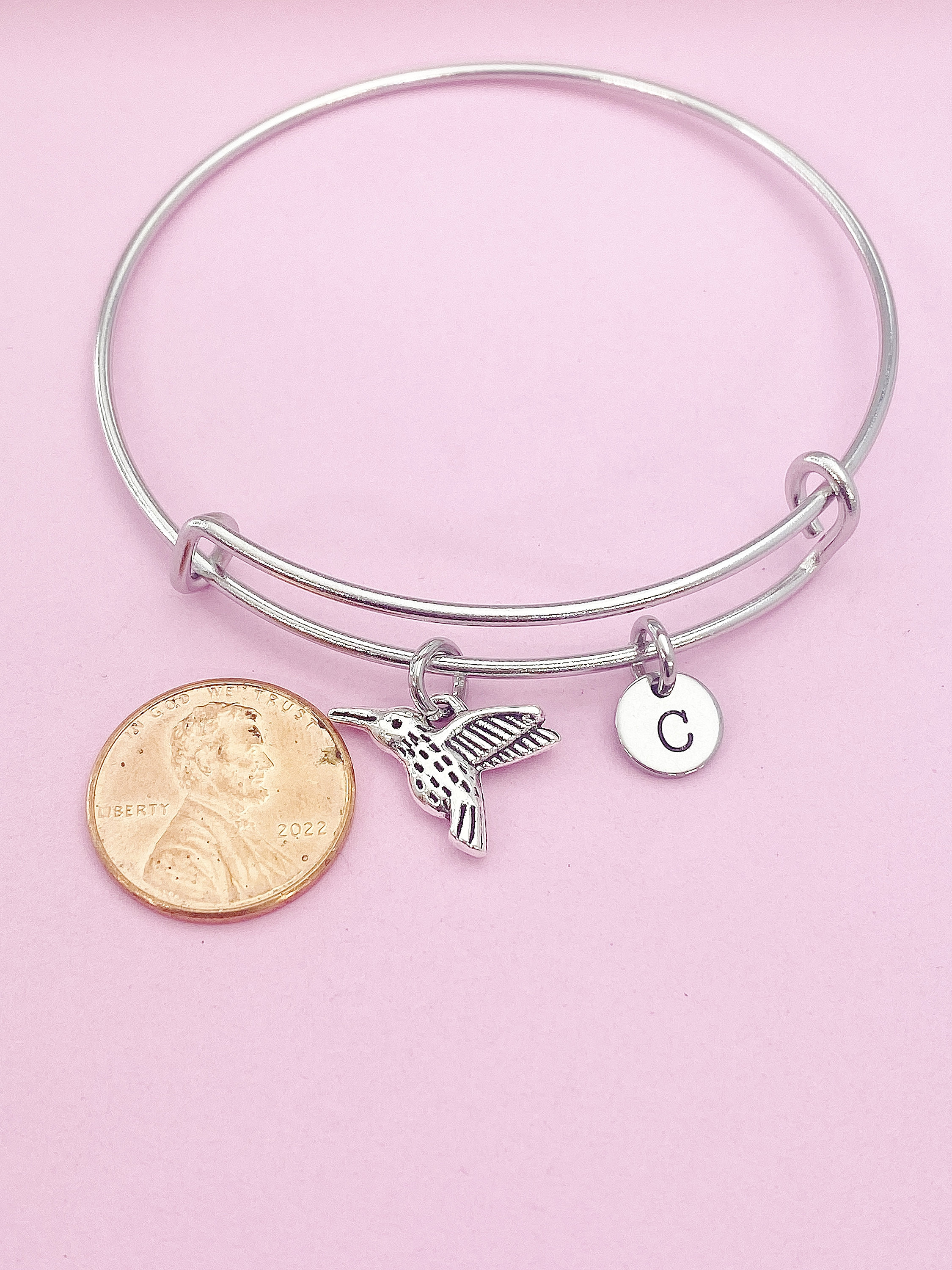 Silver Hummingbird Charm Bracelet Bird Watcher Ornithologists Zoology ...