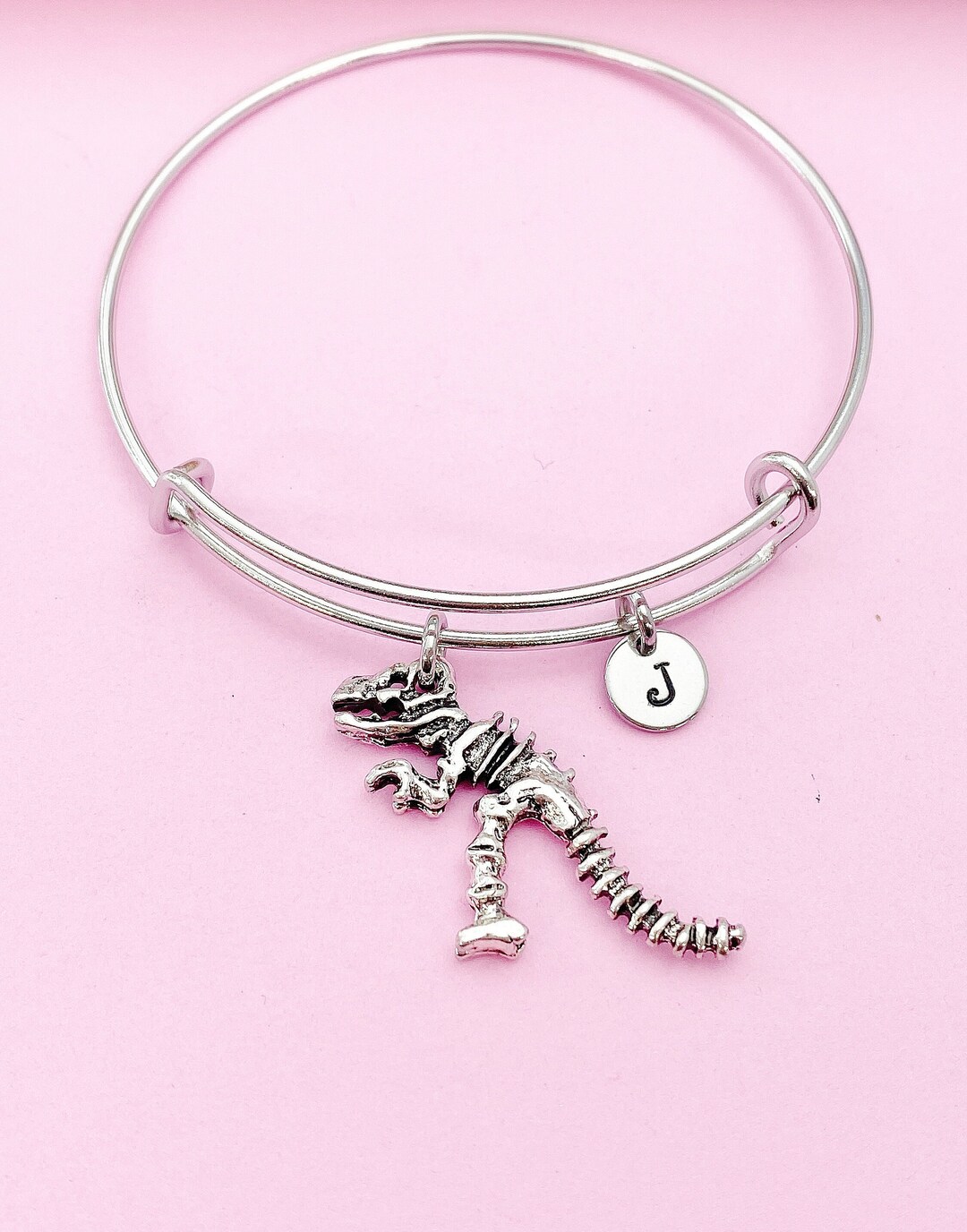 Silver T Rex Dinosaur Charm Bracelet Paleontologist Gift Idea ...
