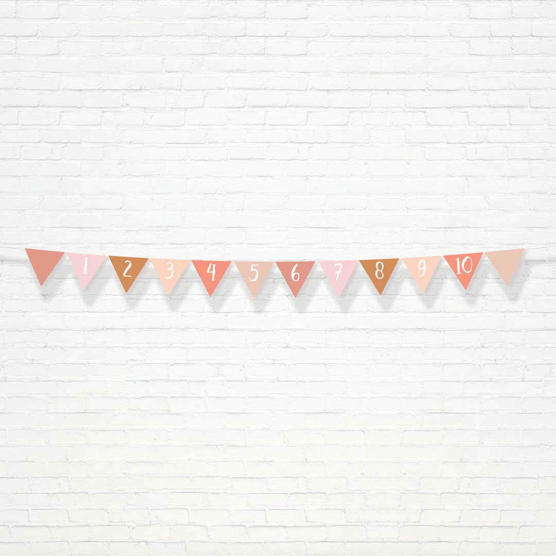 Boho Rainbow Banner - Printable Bohemian 1-10 Counting Pennant Flag ...