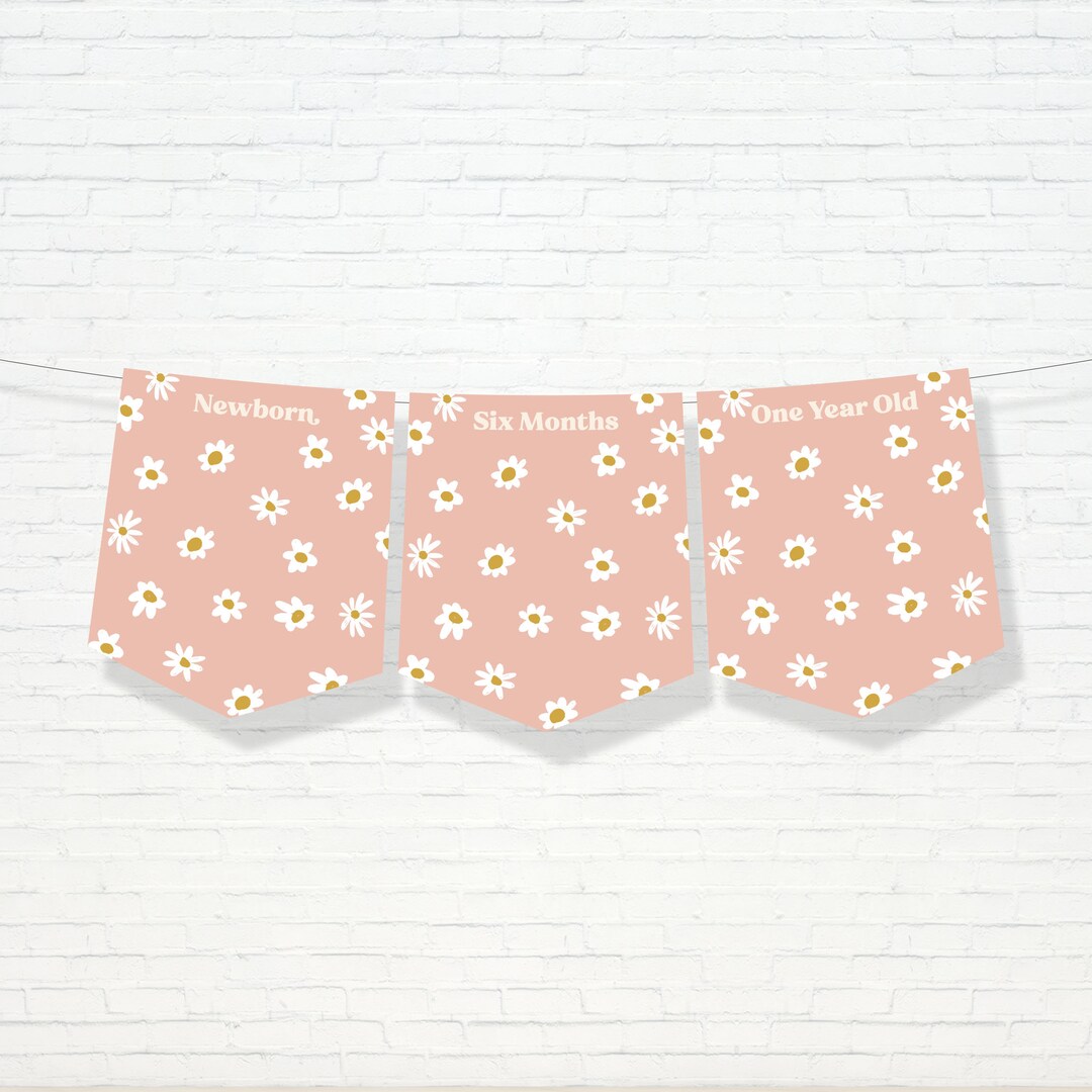 Daisy Monthly Photo Banner - Printable Pink Boho Daisies 12 Month ...