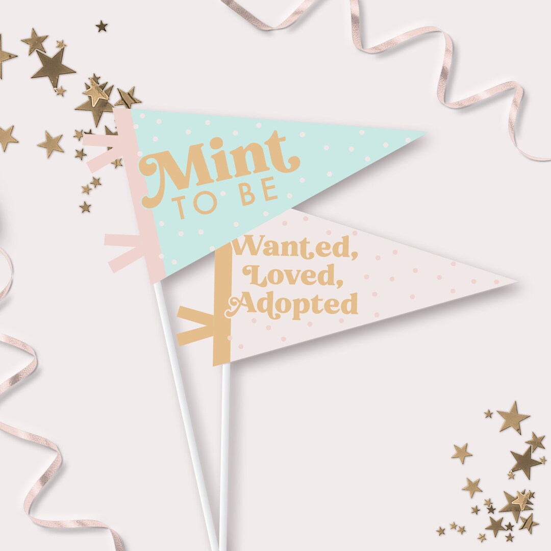 Adoption Pennant Flags - Printable Mint to Be Flag Photo Prop - Wanted ...
