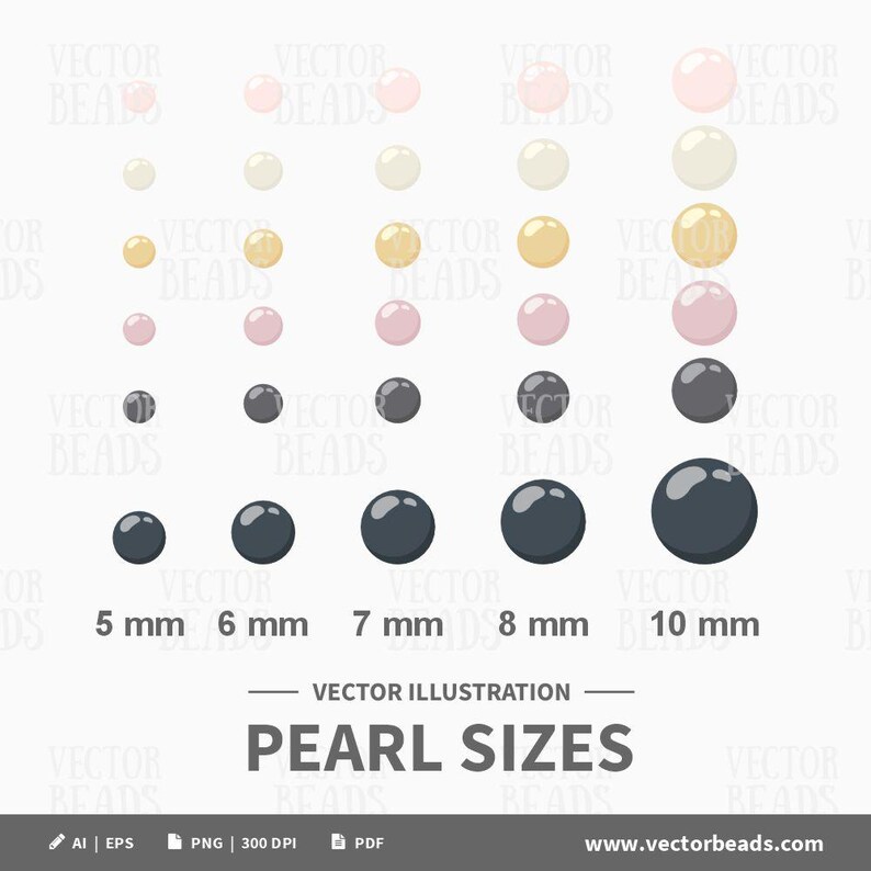 Vector Clipart Set of Pearl Sizes - Etsy