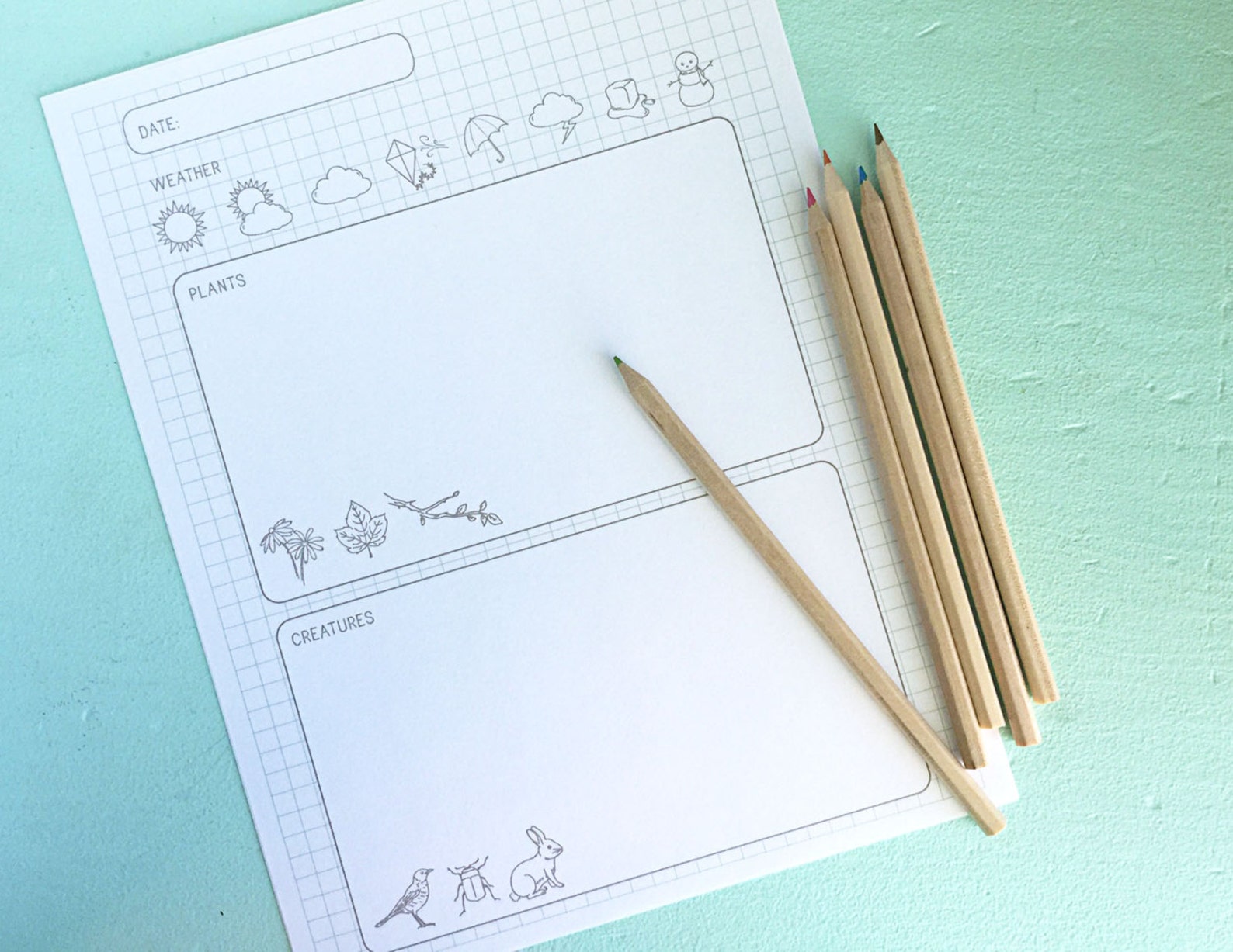 NATURE JOURNAL Printable Instant PDF Download Nature Study - Etsy