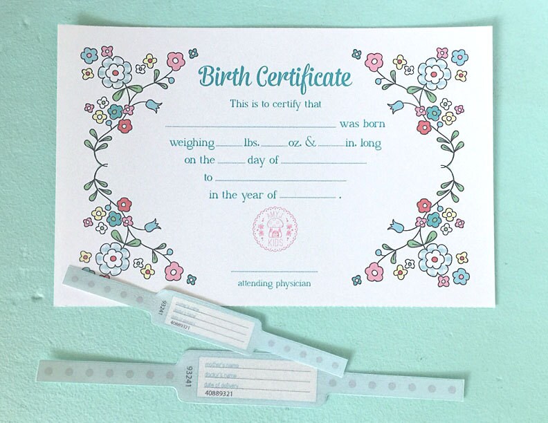 Pretend Play BRINGING HOME BABY Printables- Instant Pdf Download ...