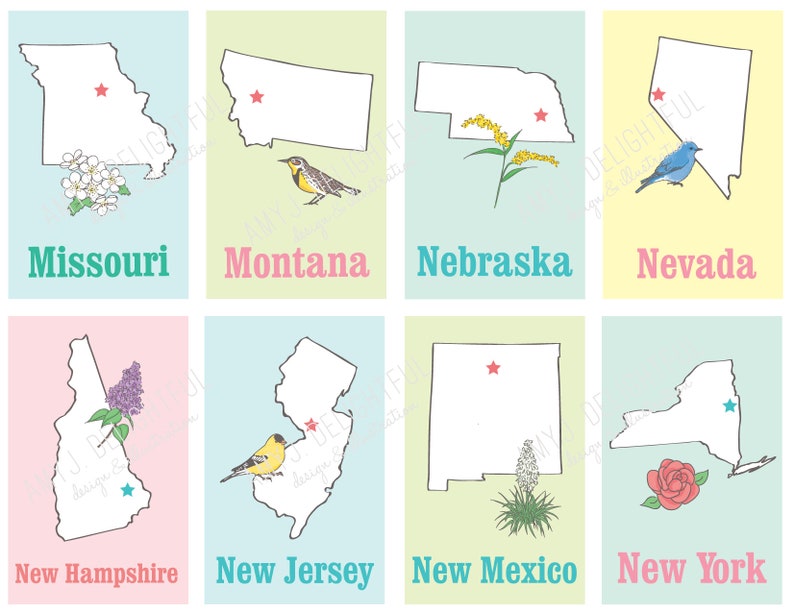 Printable STATES Flashcards- Digital File Instant Download - State ...