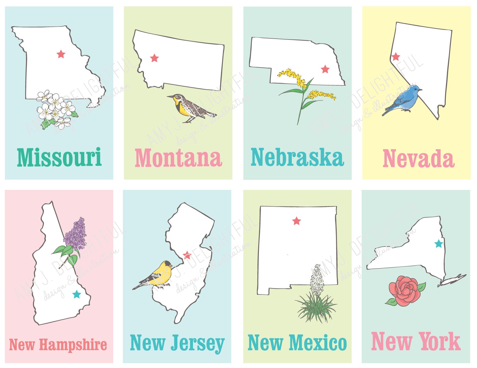 Printable STATES Flashcards- Digital File Instant Download - State ...