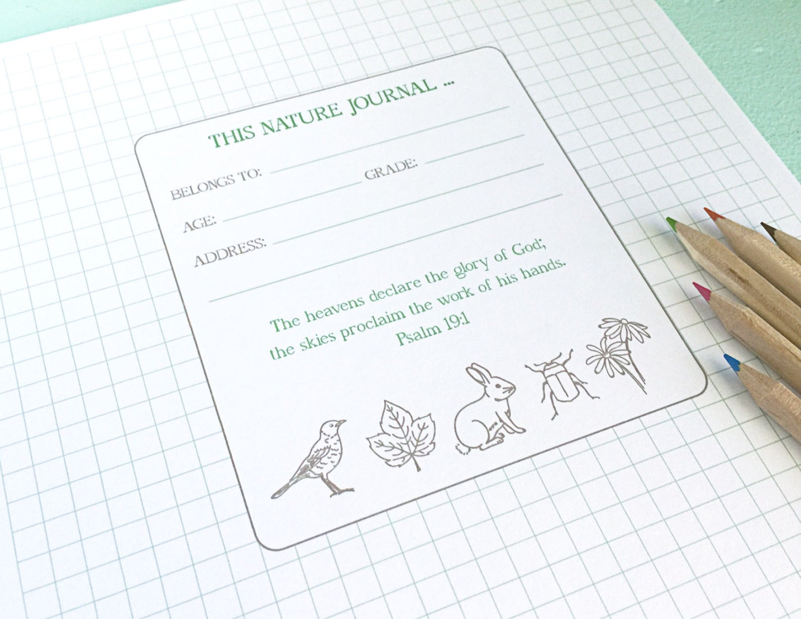 NATURE JOURNAL Printable- Instant PDF Download- Nature Study, First ...