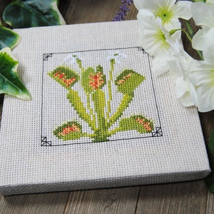 Venus Fly Trap Cross Stitch Pattern - Carnivorous Plants - Flower Study ...