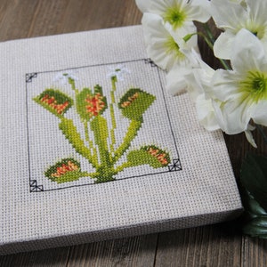 Venus Fly Trap Cross Stitch Pattern - Carnivorous Plants - Flower Study ...