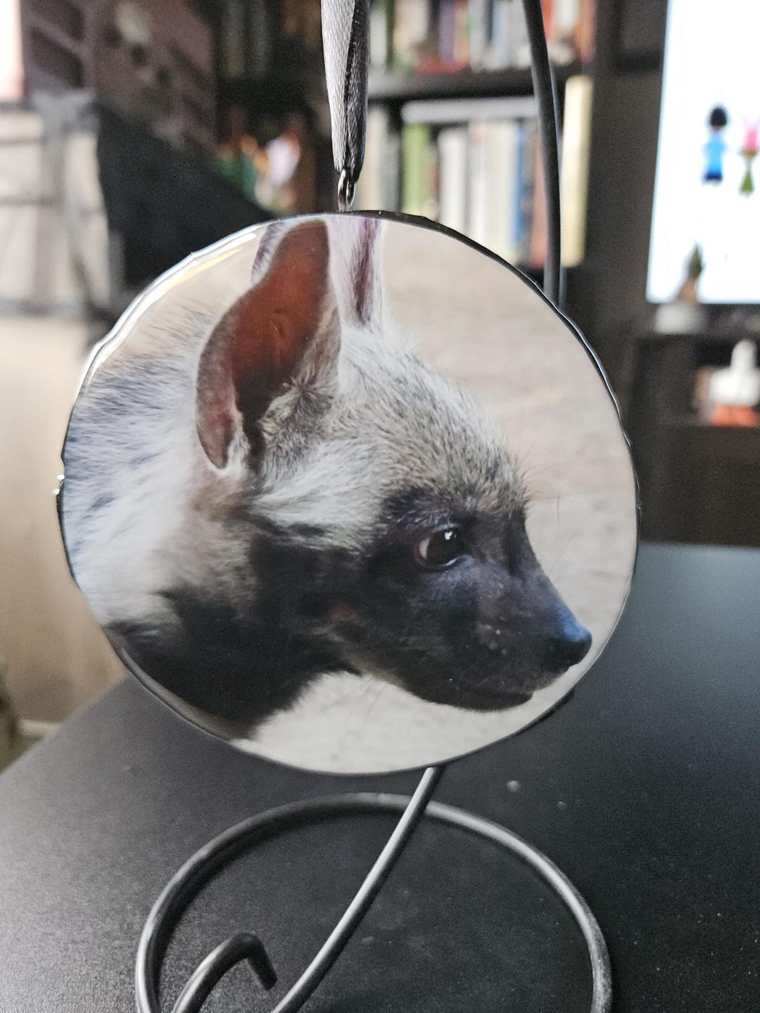 Striped Hyena Resin Ornament - Etsy