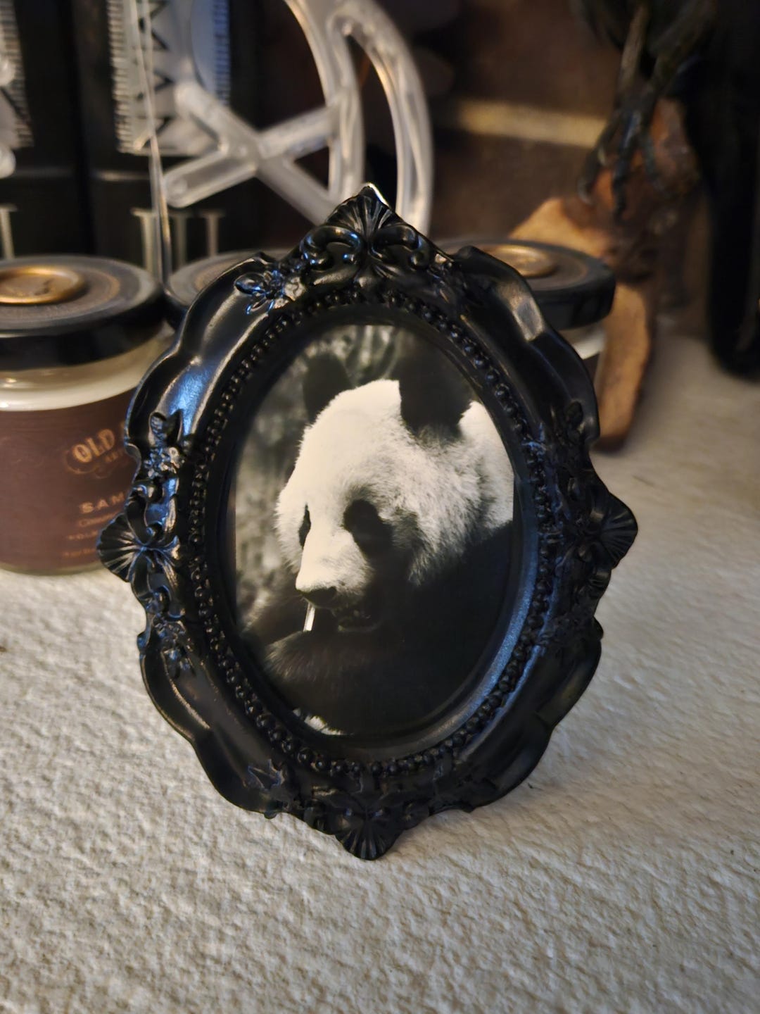 Framed Black and White Mini Print Giant Panda - Oval - Etsy