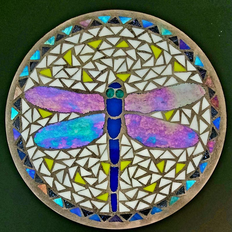 Dragonfly Painted Rock - Etsy