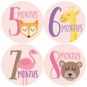 Pink Zoo, Monthly Baby Sticker Girl, Baby Month Sticker, Elephant ...