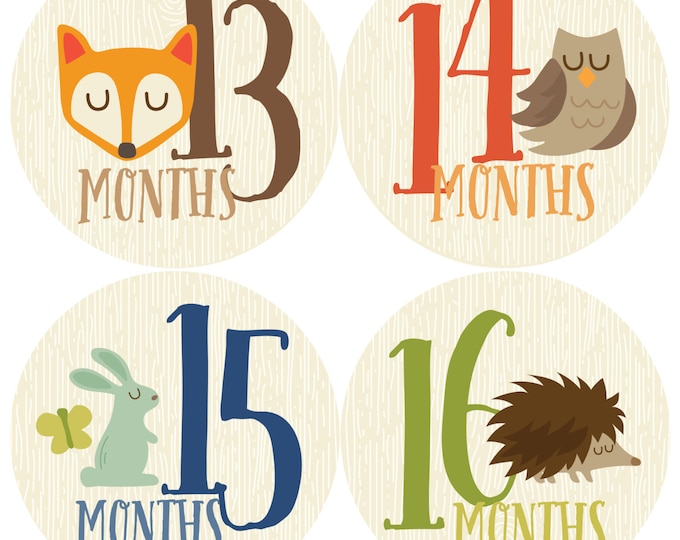 Monthly Baby Sticker Boy, Baby Month Sticker, Woodland, Milestone ...