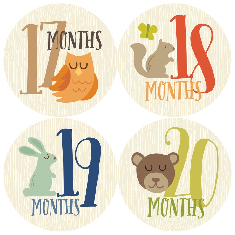 Monthly Baby Sticker Boy Baby Month Sticker Woodland | Etsy