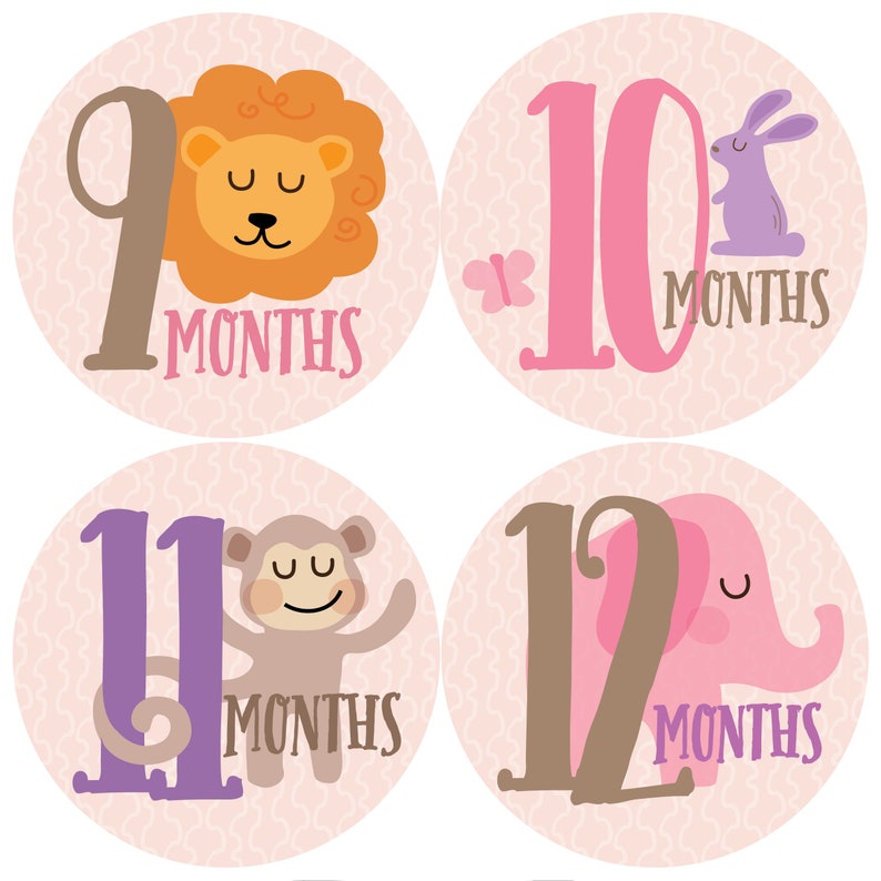 Pink Zoo Monthly Baby Sticker Girl Baby Month Sticker - Etsy UK