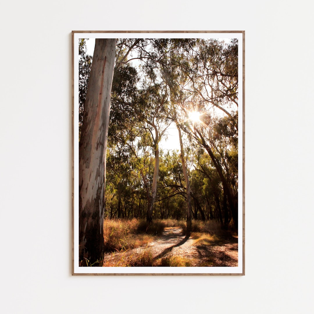 Australian Landscape Print Digital Download Printable Landscape Trees ...