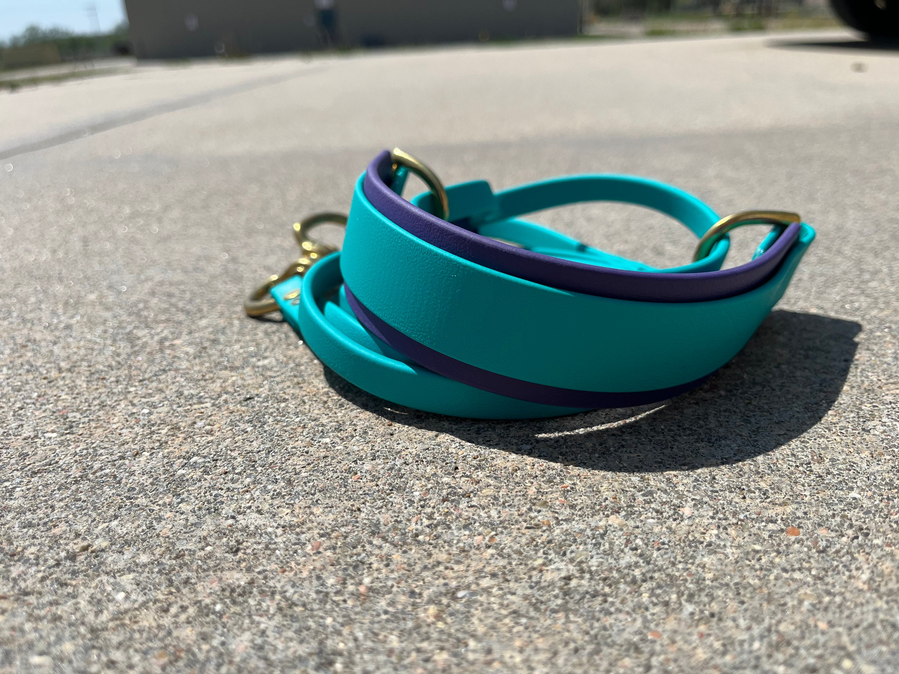 Biothane® Deluxe French Martingale 1.5 Wide Collar - Etsy Australia