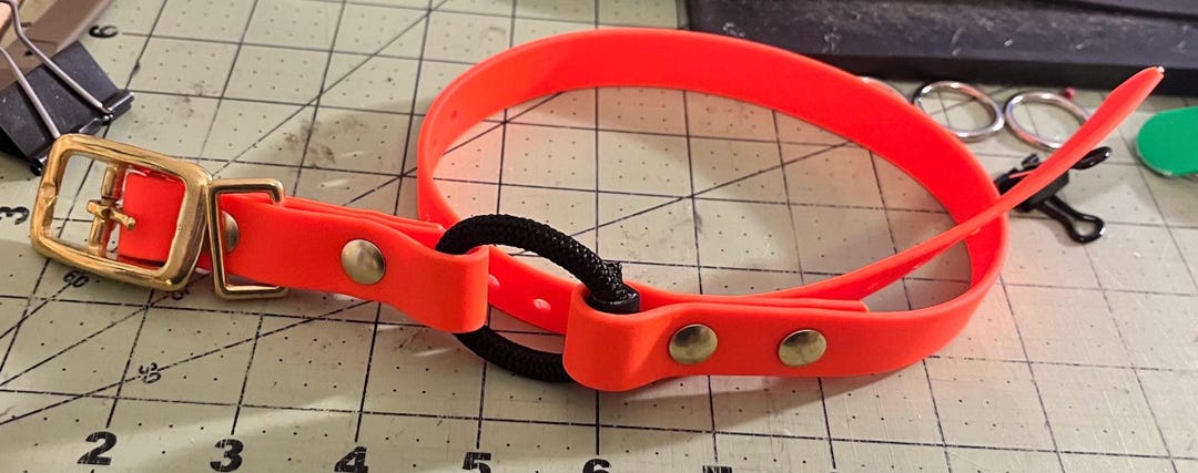 Bungee and Buckle E-collar Strap Biothane Two Tone Waterproof Dog Collar, Training Collar, E ...