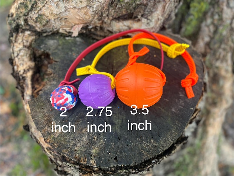 EVA Foam Ball Dog Tug Toy: Floating Fetch Toy, Biothane Strap - Etsy