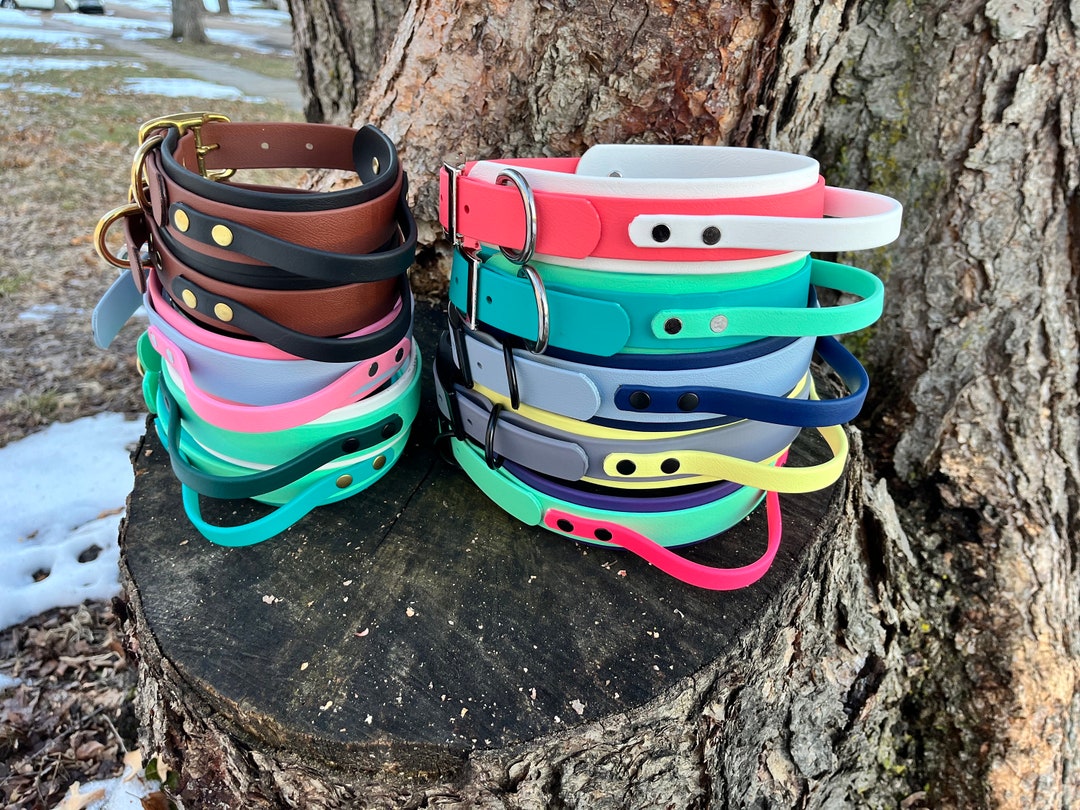 Handle Biothane Dog Collar | 1" Over 1.5" Waterproof Sport Collar With ...