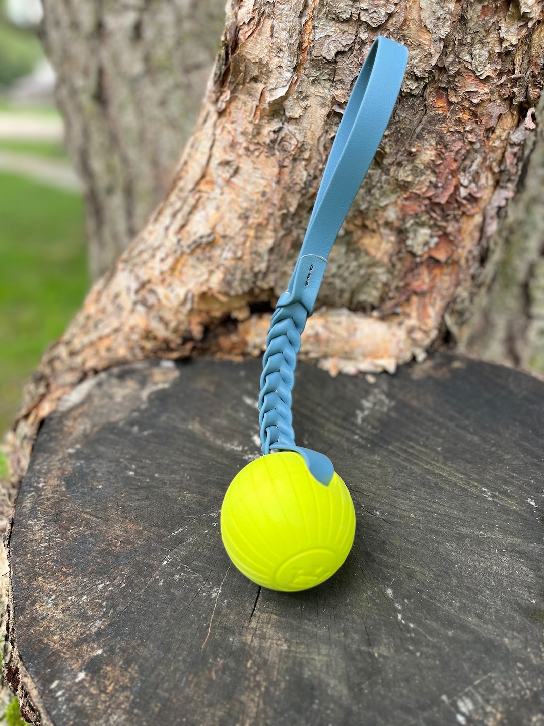 Braided Biothane Dog Tug Toy: 3" Ball, Chewy Reward - Etsy