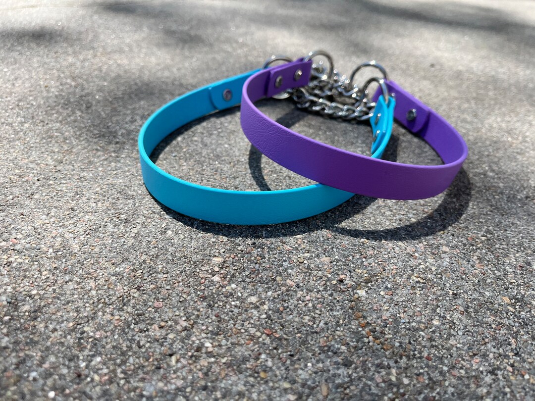 3/4" Martingale Biothane Dog Collar | Waterproof Dog Collar | Half ...